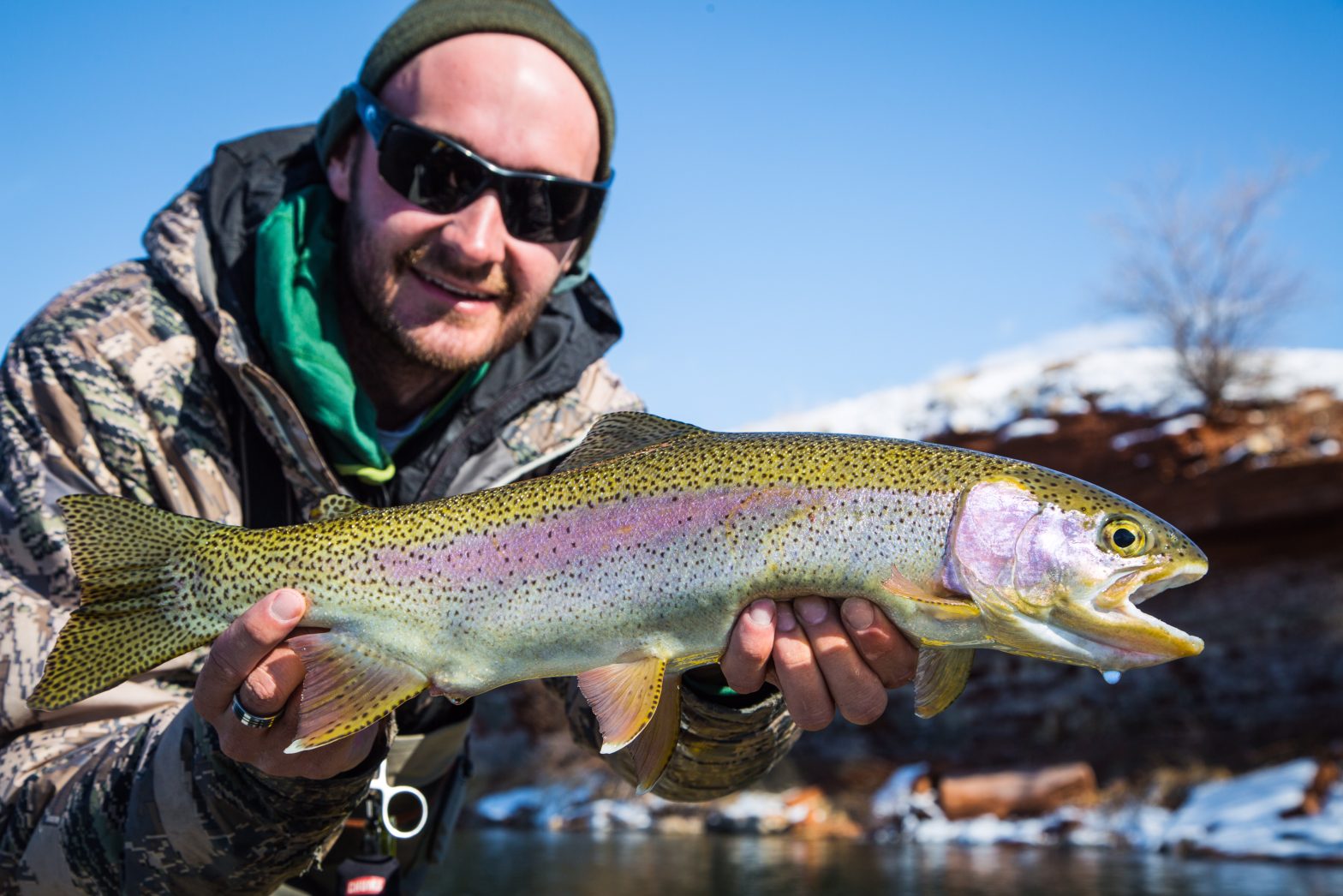 Big Horn River Fly Fishing: The Ultimate Fishing Experience ...