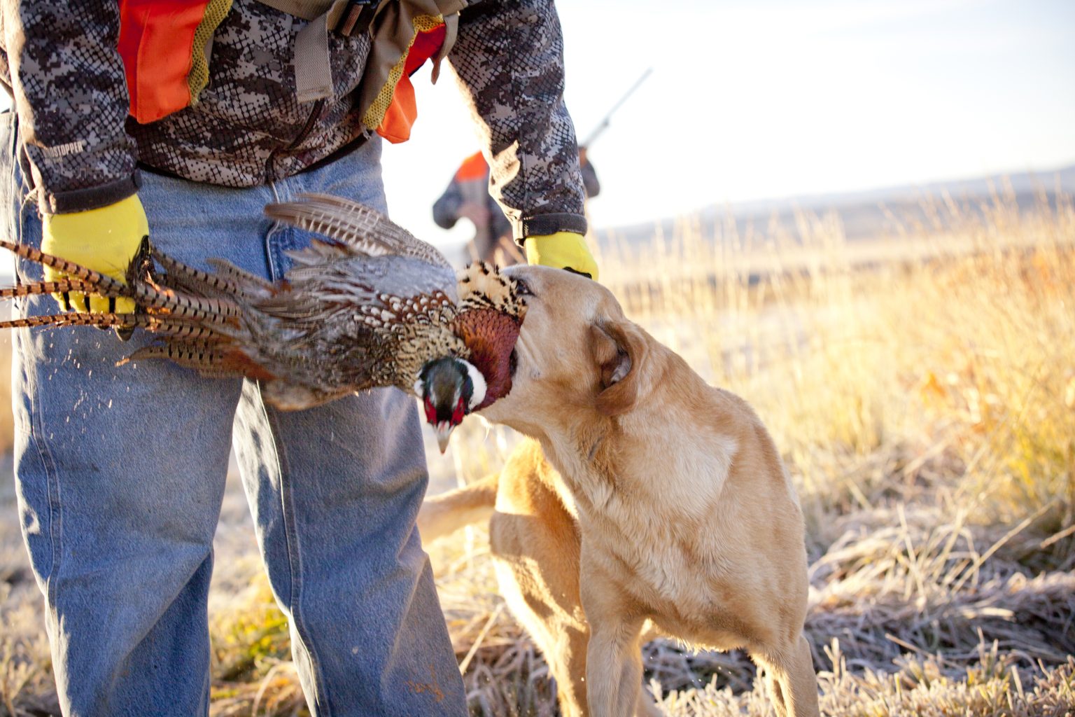 Guided Fishing Trips - crazyrainbow fly fishing, Casper Wyoming