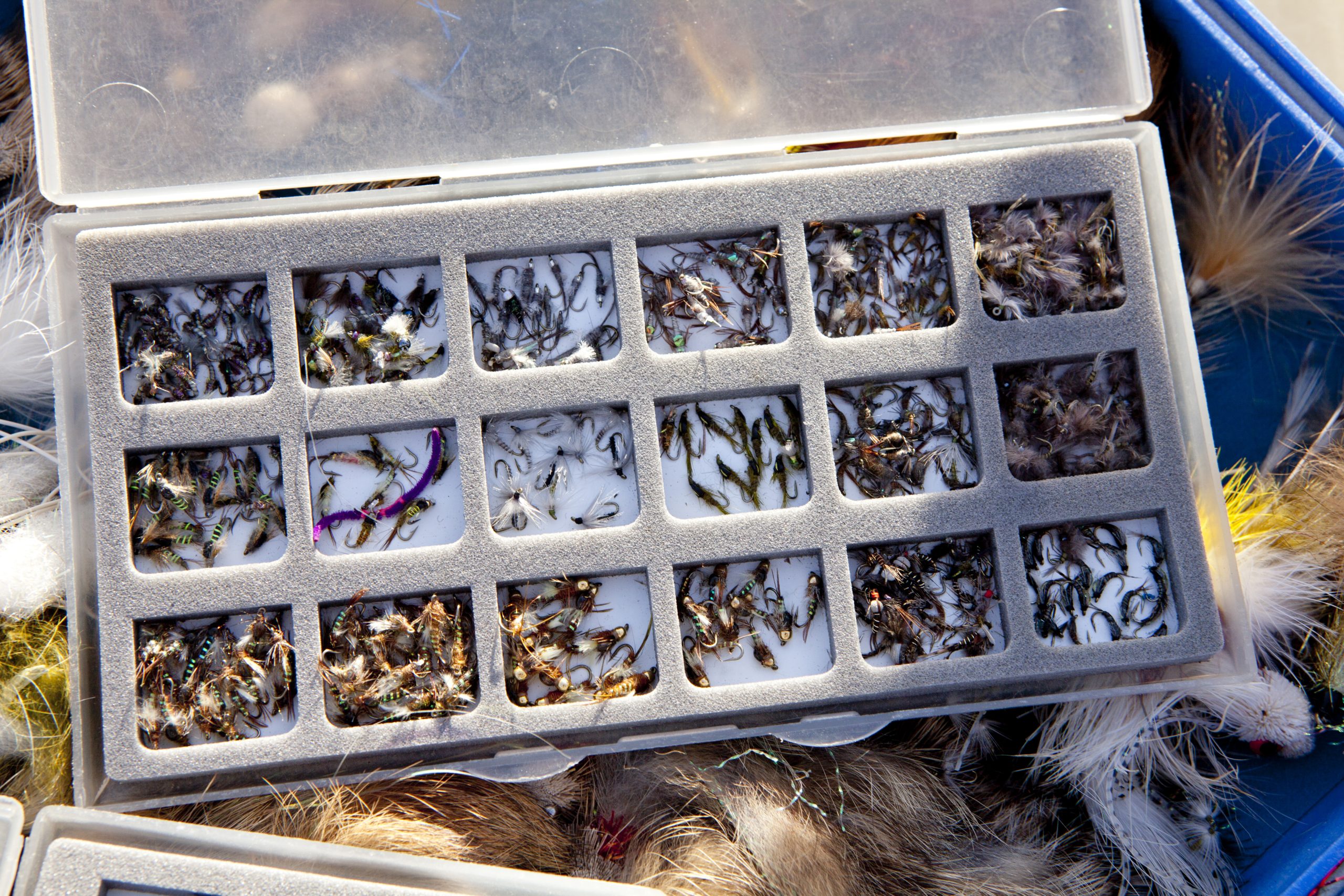 Learn the Art of Fly Tying: Instruction for All Skill Levels ...