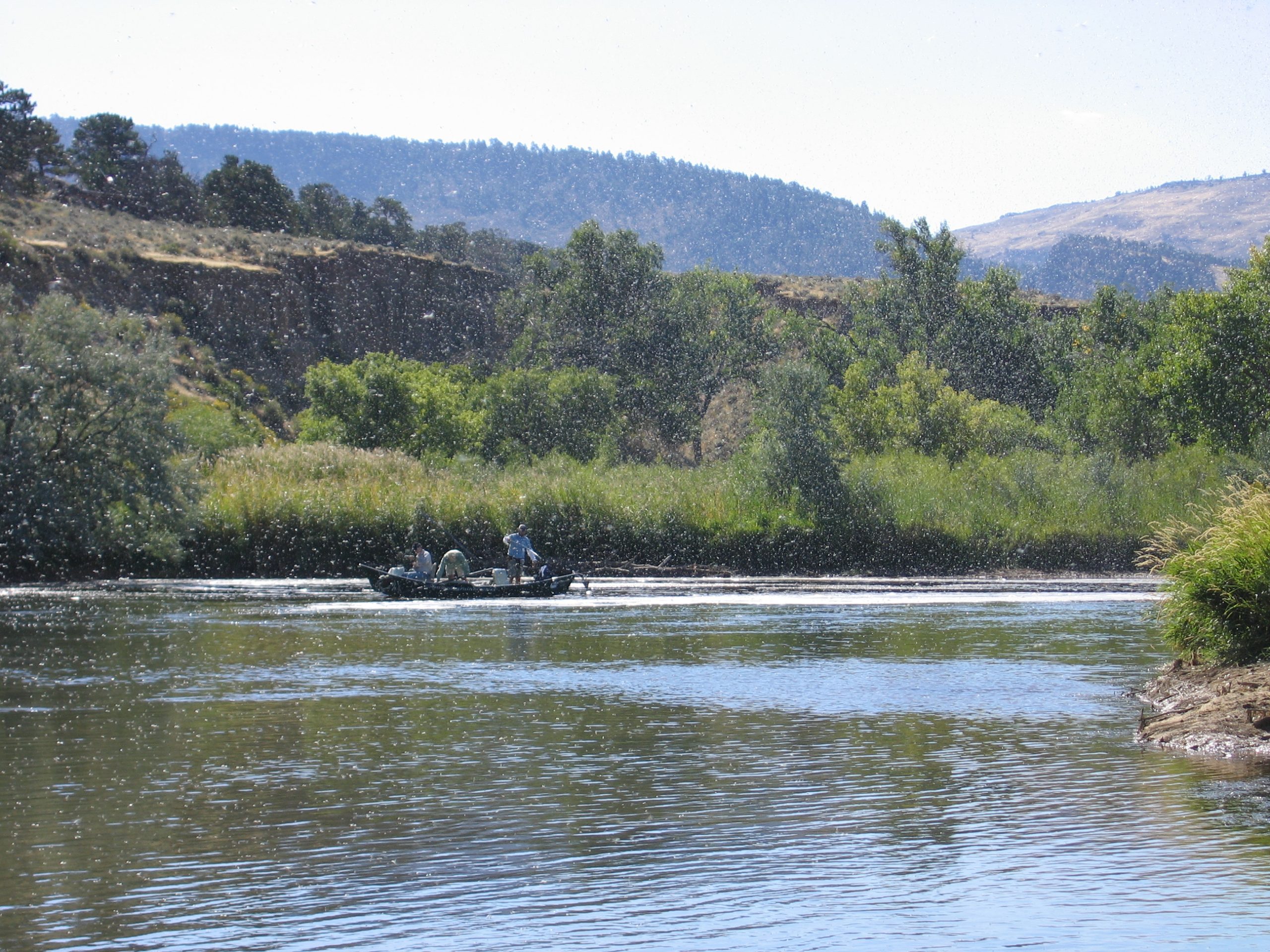 SPRING FLUSH - Crazyrainbow Fly Fishing, Casper Wyoming