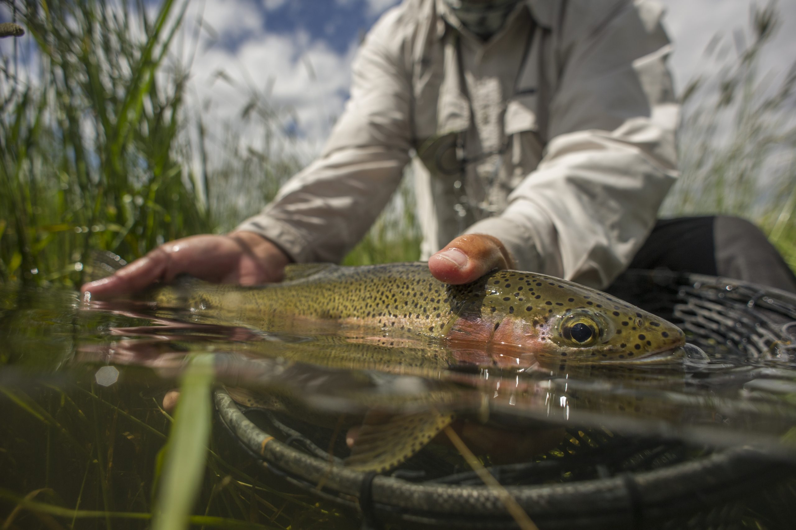Crazy Rainbow Fishing Report - Crazyrainbow Fly Fishing, Casper Wyoming